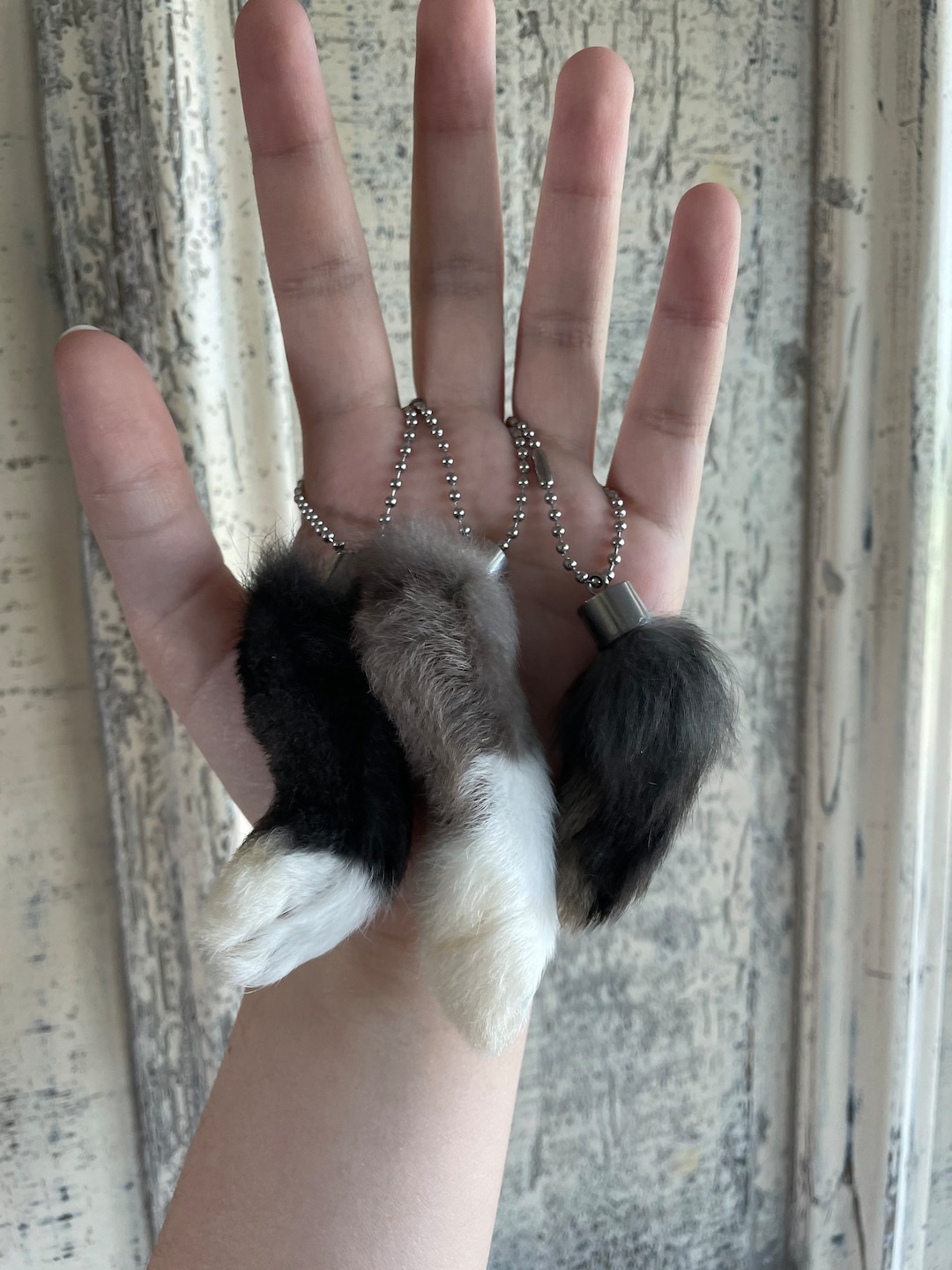 Real Rabbit Foot Keychains Sustainably Sourced - Etsy