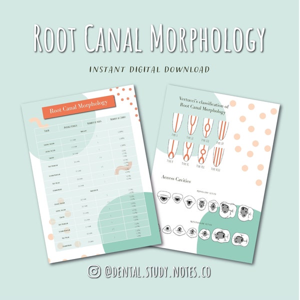 Dental Anatomy Morphology Notes - Etsy
