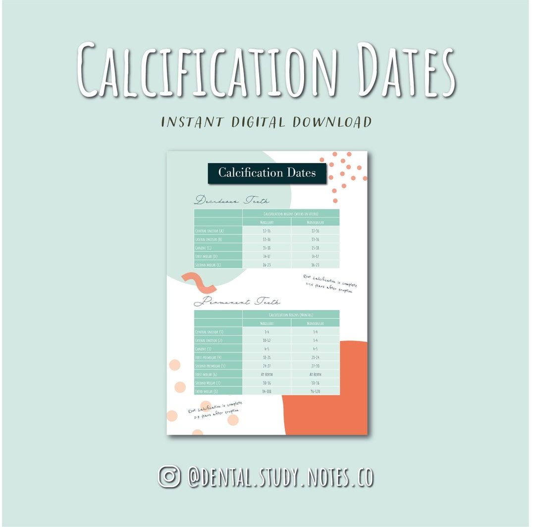 Calcification Dates Digital Download Anatomy/dentistry/dental Hygiene ...