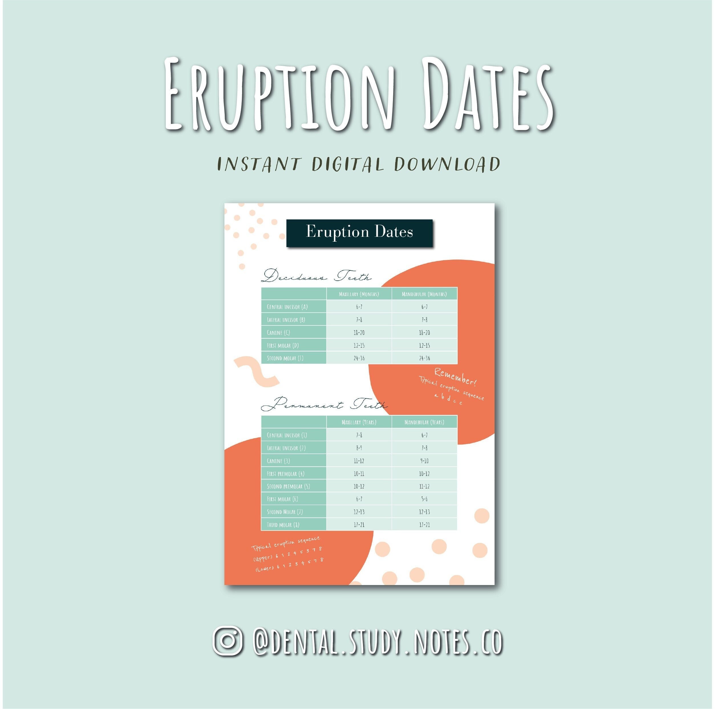 Eruption Dates Digital Download Anatomy/dentistry/dental Hygiene/dental ...