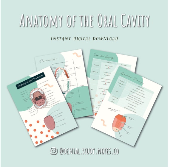 Anatomy of the Oral Cavity Digital Download - Etsy