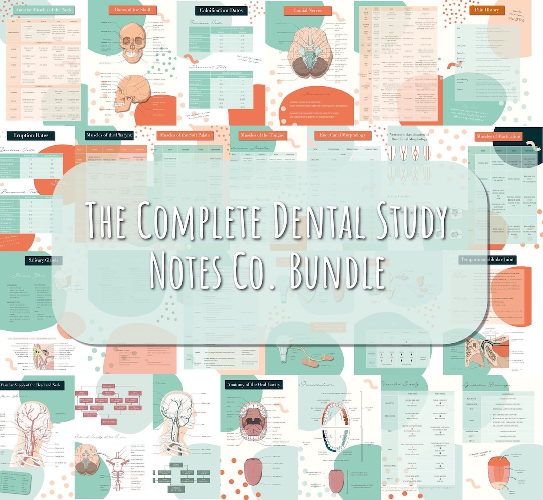 The Complete Dental Study Notes Co. Bundle. 26 Pages of Anatomy ...
