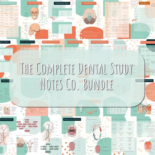 The Complete Dental Study Notes Co. Bundle. - Etsy