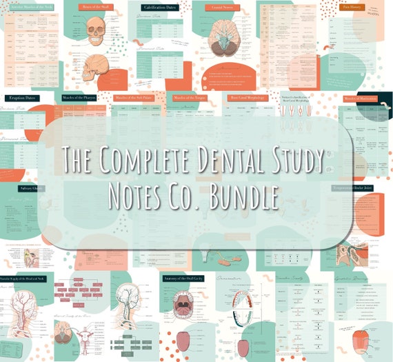 The Complete Dental Study Notes Co. Bundle. - Etsy