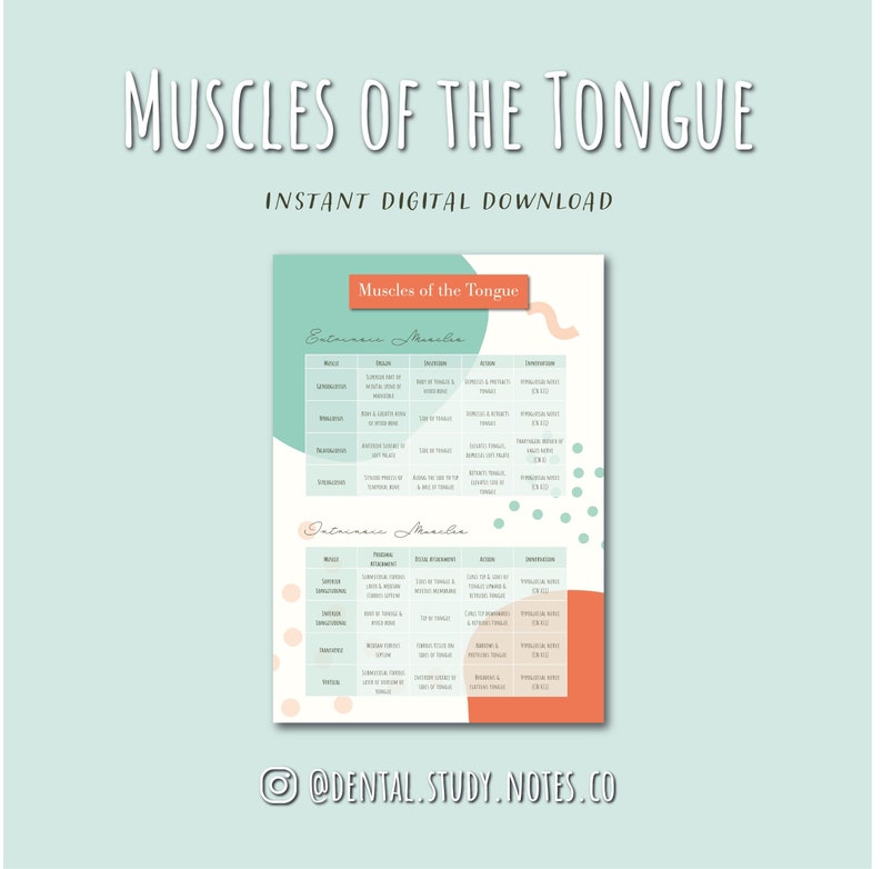 Muscles of the Tongue Digital Download Anatomy/dentistry/dental Hygiene ...