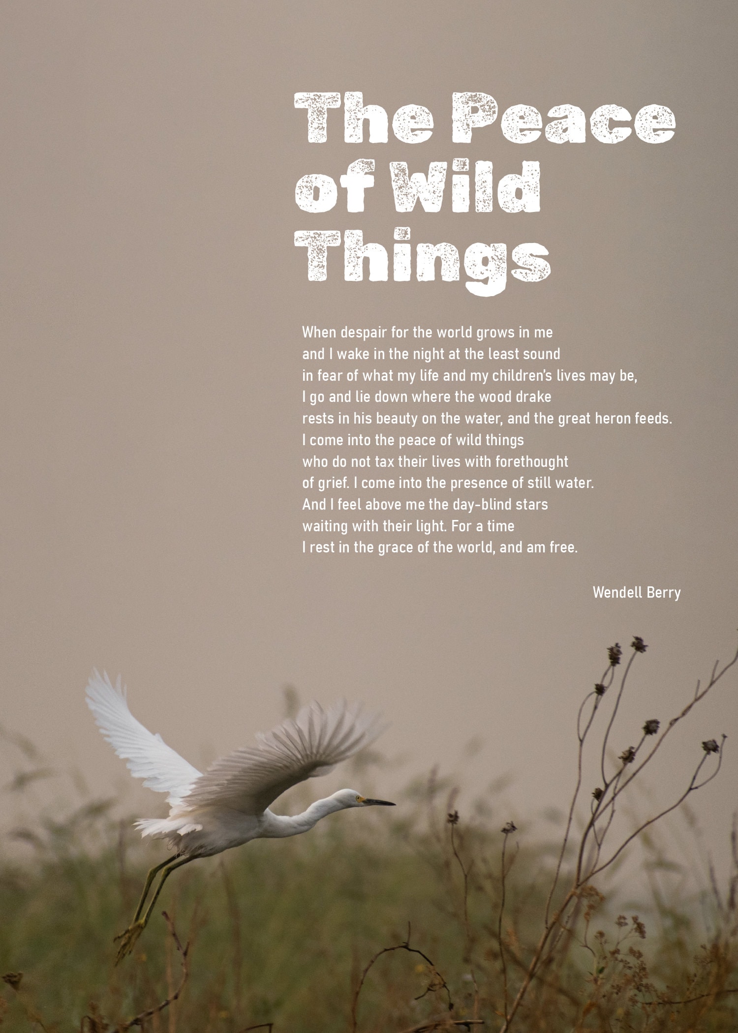Peace of Wild Things by Wendell Berry, Inspiring Poem Art Print, Poster ...
