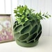 Modern Geometric Planter Pot, Exo Planter Pot, Indoor Flower Pot ...