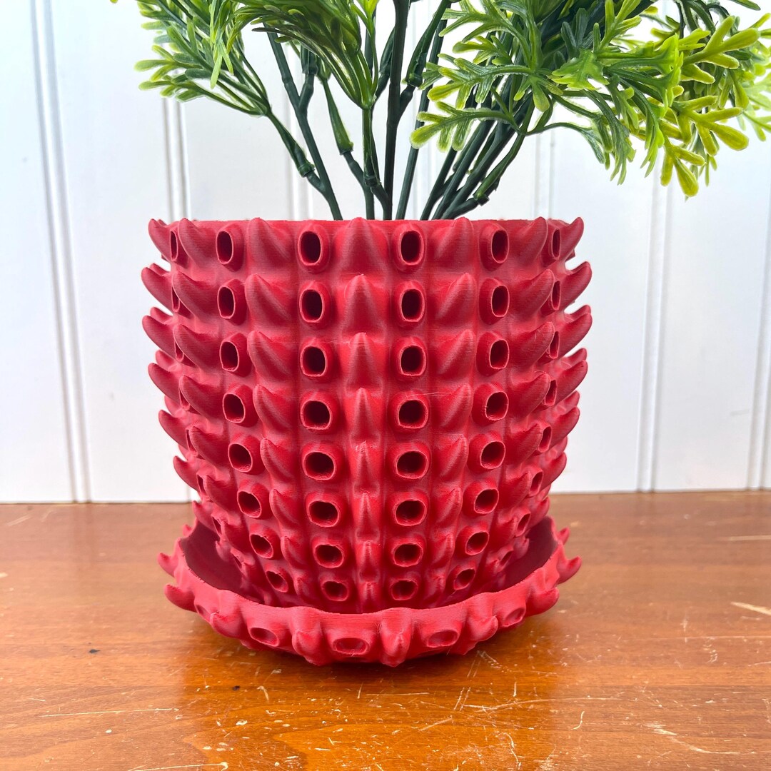 Planter Pot, Barnacle Planter Pot, Indoor Flower Pot, Houseplants ...