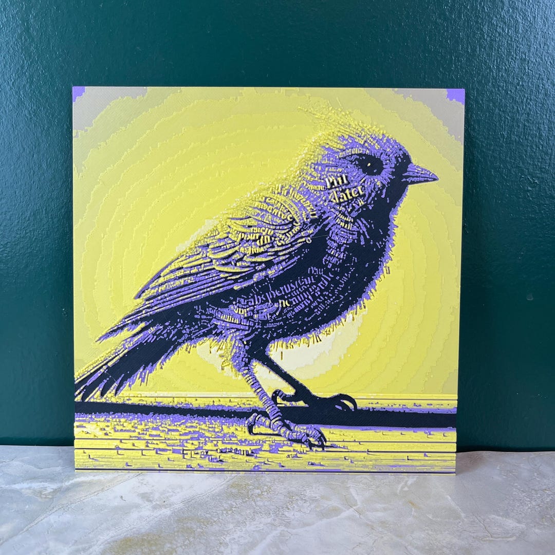 Uniquely Colored Bird Wall Art, Art, Bird Lover, Playful Bird, Textured ...