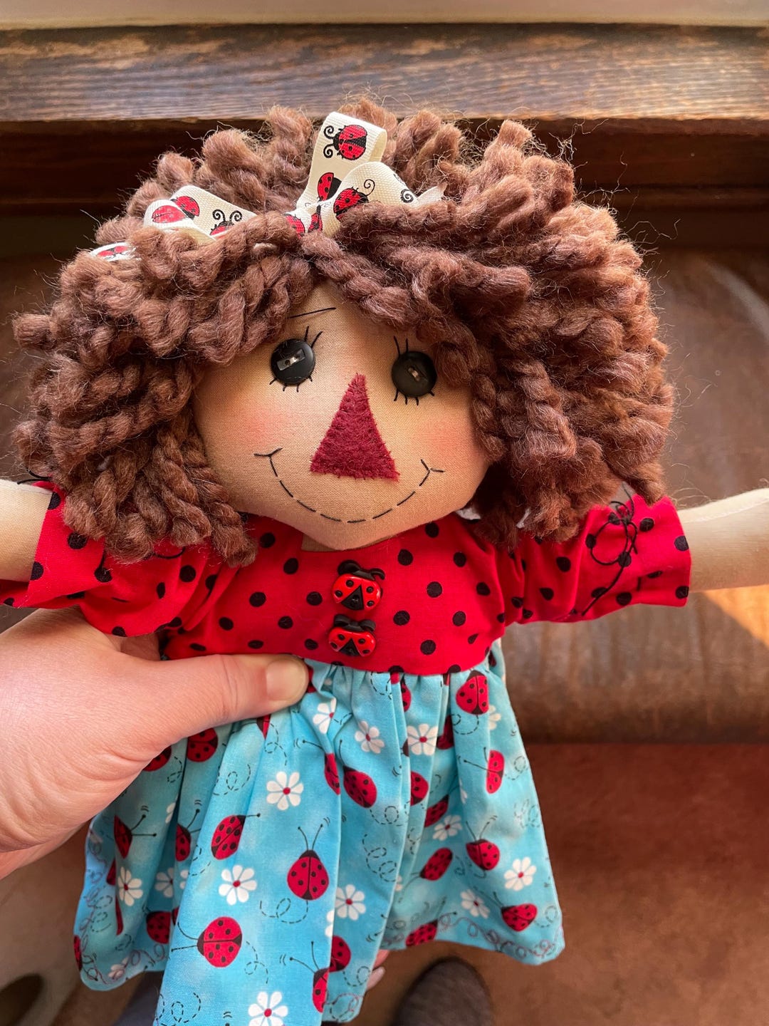 Handmade Modern 16” Raggedy Anne Doll in a Lady Bug Print - Etsy