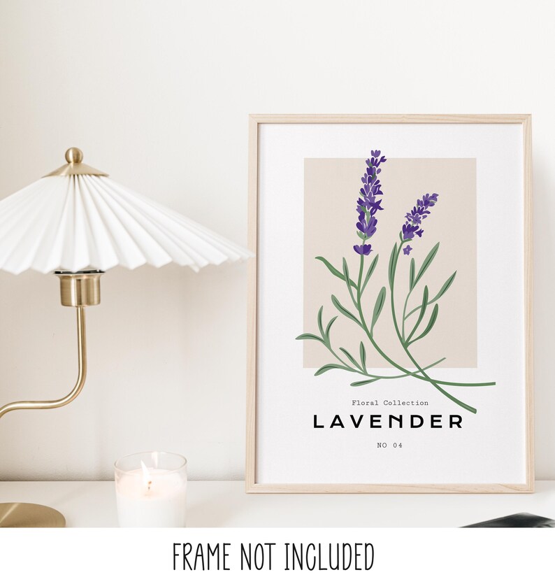 Lavender Poster Museum-quality Floral Art Print, Matte Paper Botanical ...