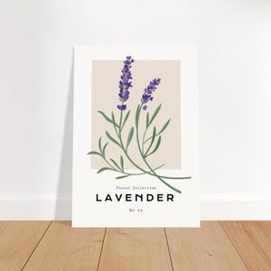 Lavender Poster Museum-quality Floral Art Print, Matte Paper Botanical ...