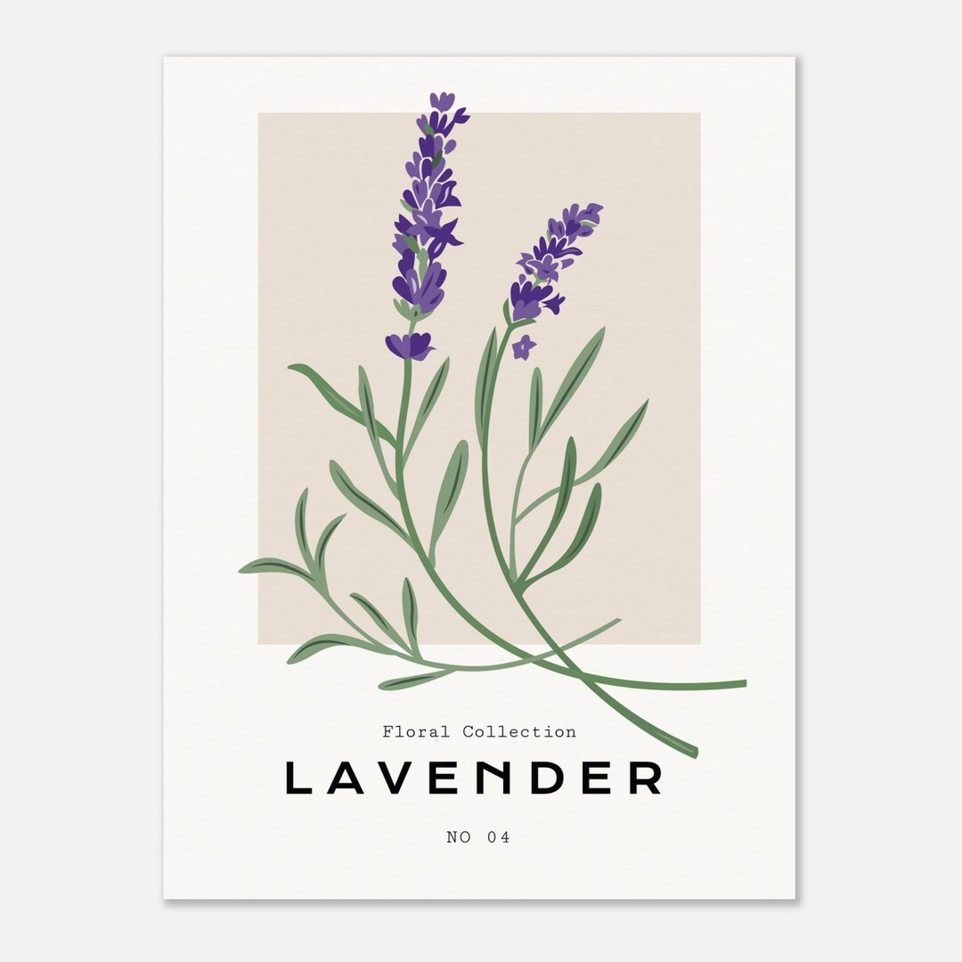 Lavender Poster Museum-quality Floral Art Print, Matte Paper Botanical ...