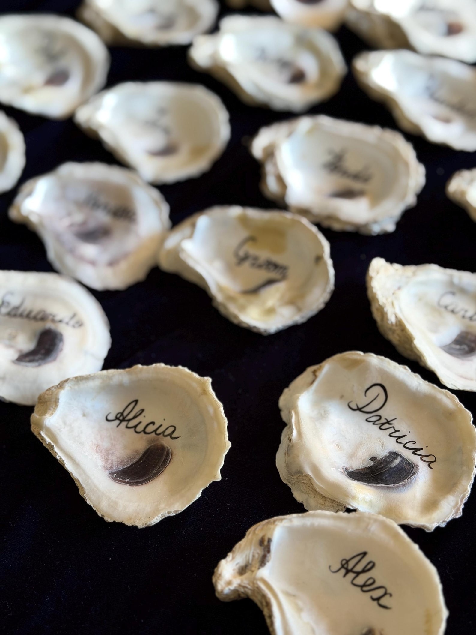 Personalized Oyster Shell Wedding Favors: Hand-painted Oyster Placement ...