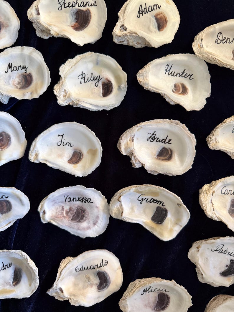 Personalized Oyster Shell Wedding Favors: Hand-painted Oyster Placement ...