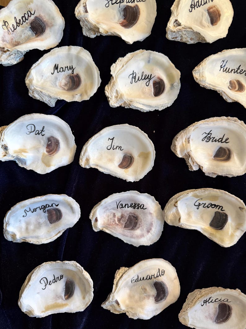 Personalized Oyster Shell Wedding Favors: Hand-painted Oyster Placement ...