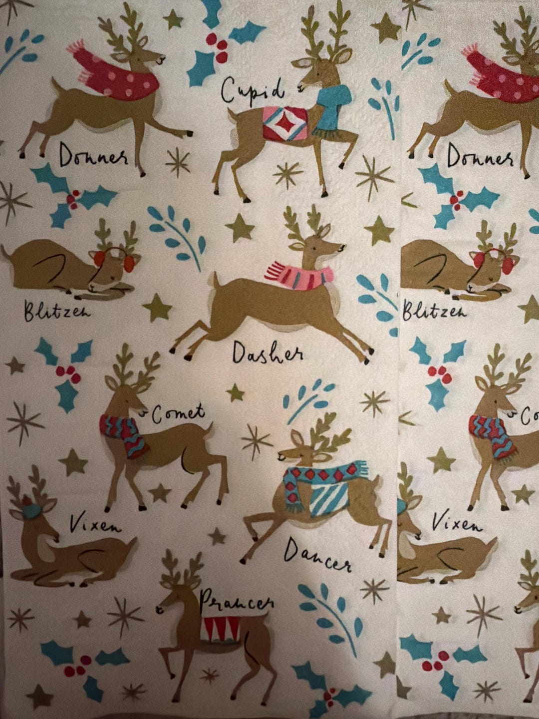 Set of 2 Individual Christmas Reindeer Guest 3-ply Napkins for ...