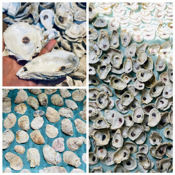 Painted Oyster Shells - Etsy