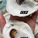 Clean Bleached Oyster Shells for Crafts - 10 Flats - Etsy