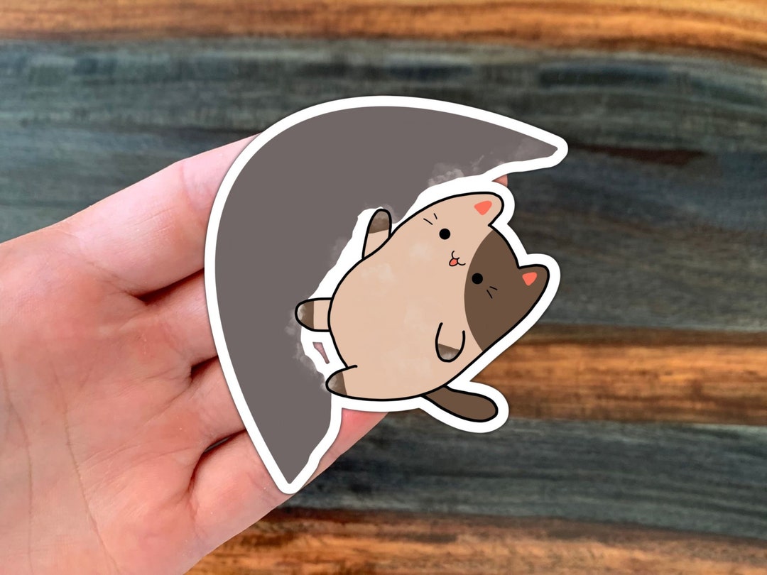 Cat Bouldering Sticker, Cat Rock Climbing, Cute Cat, Cute Kawaii ...