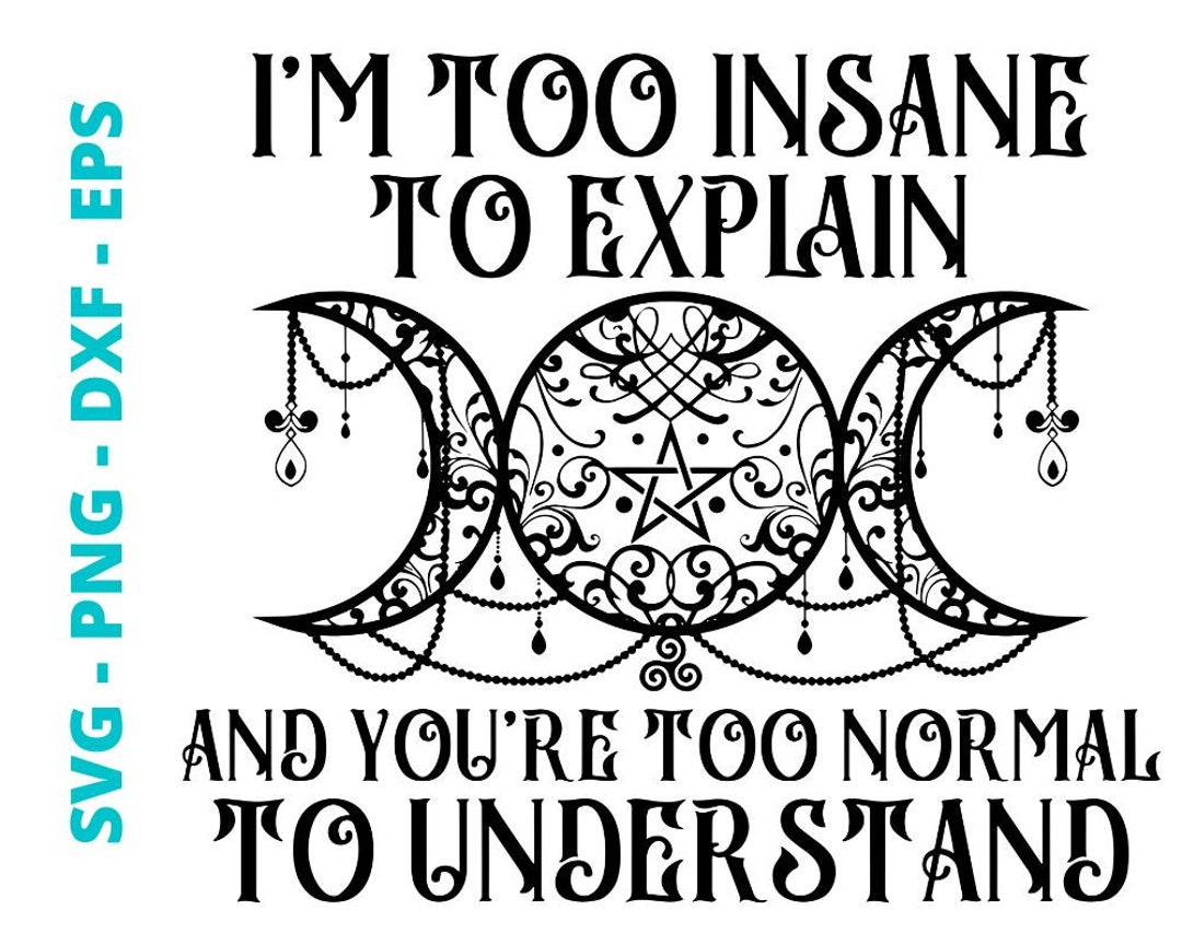 I'm Too Insane to Explain and You're Too Normal to Understand - Etsy