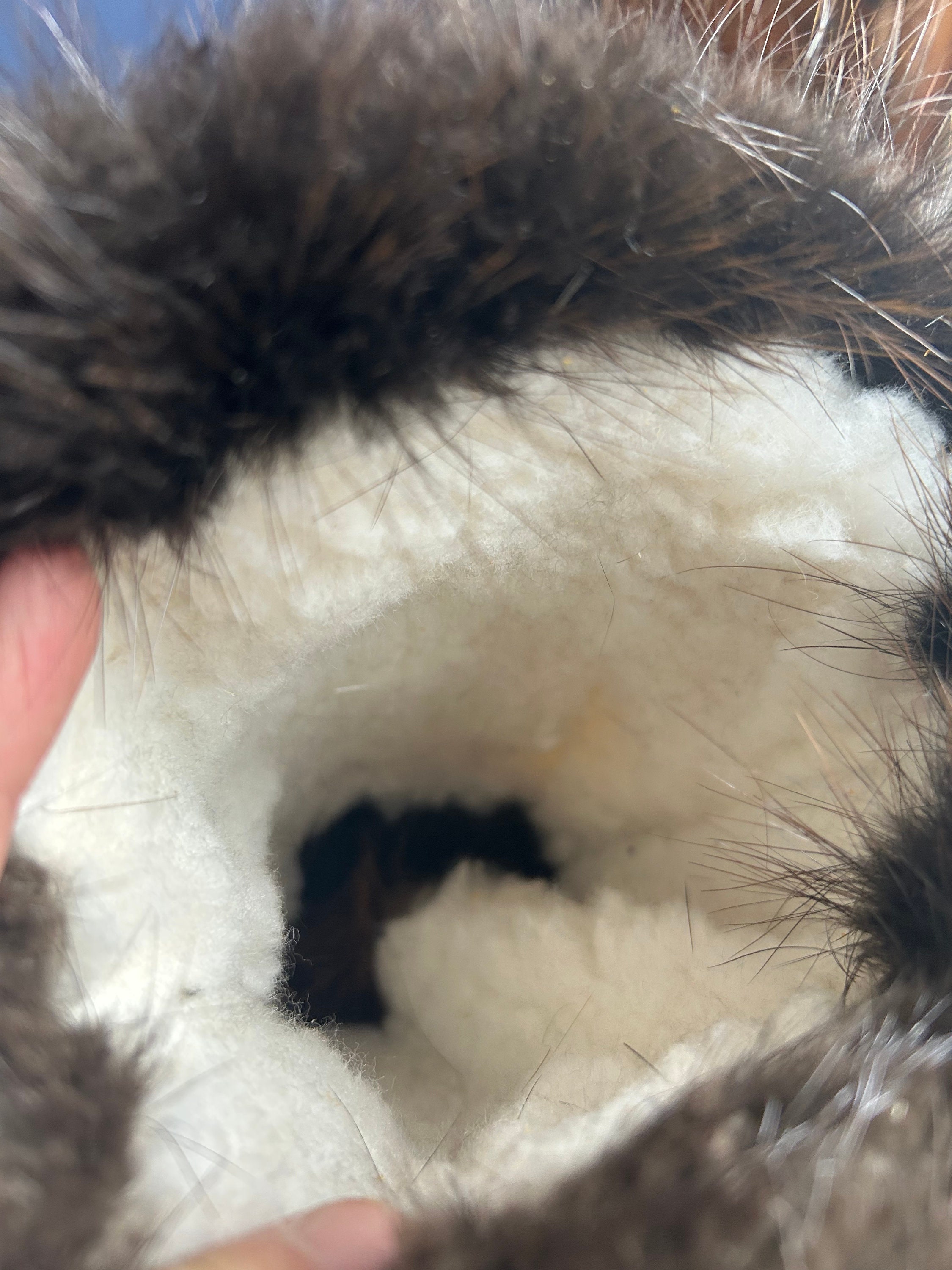 Moosehide Mitts Lined With Beaver Fur - Etsy
