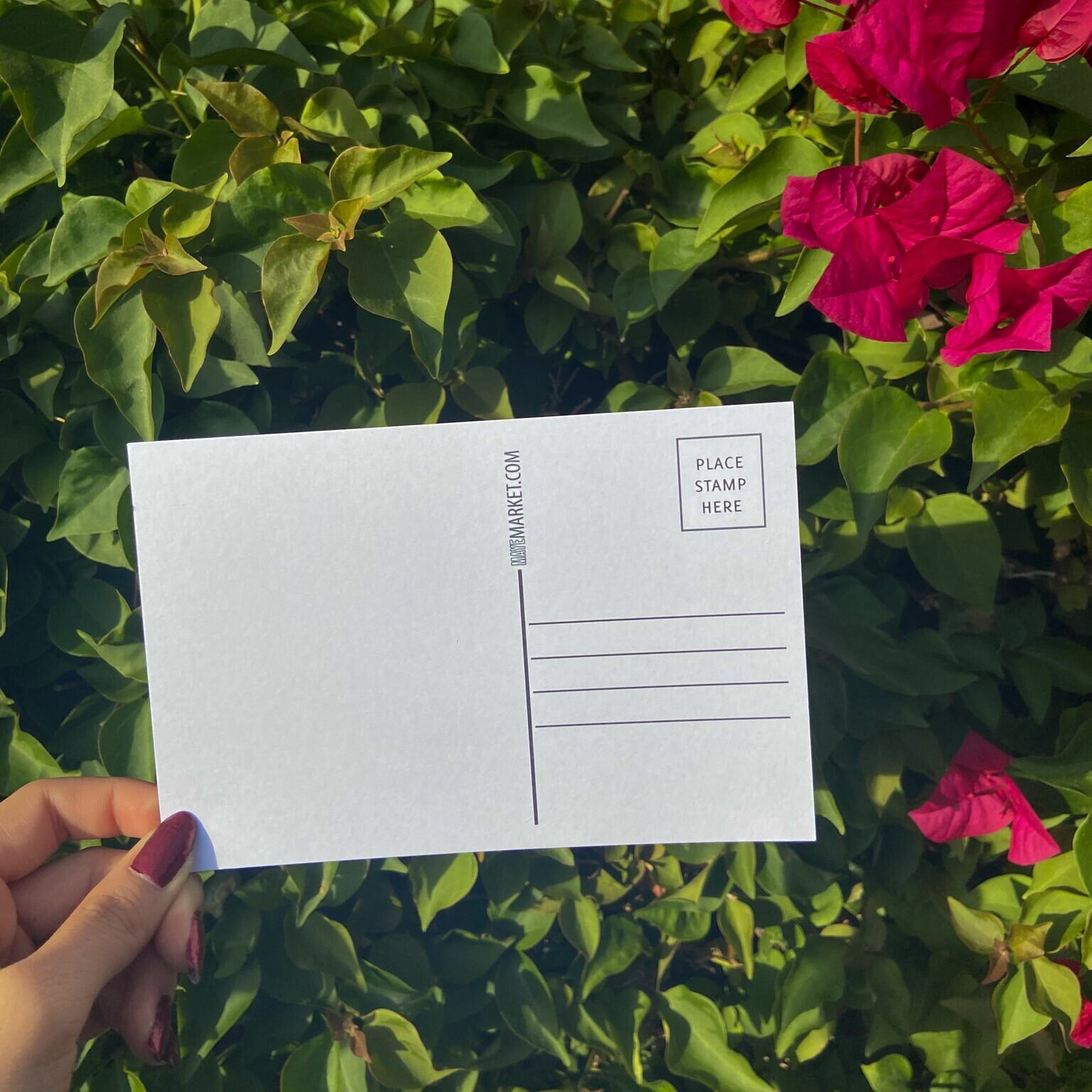 Lilo and Stitch Postcard 20th Anniversary | Etsy