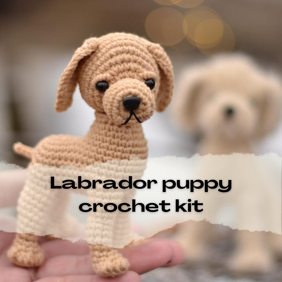 Labrador Puppy Crochet Kit. LAB DIY Crochet Amigurumi Dog Kit. - Etsy