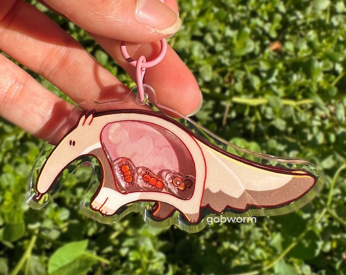Anteater Shaker Charm Silly Animal Biology Eating Ants 3D Double Sided ...