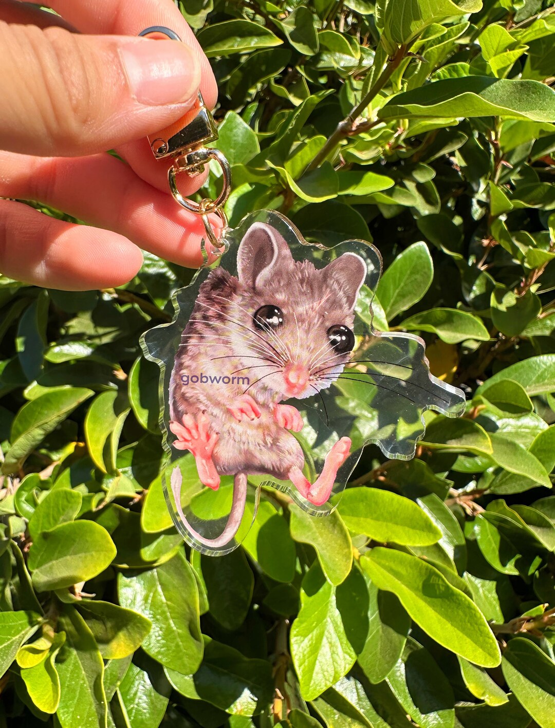 Mouse Scruff Charm | Wildlife Field Biology Scruffed Art Acrylic ...