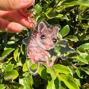 Mouse Scruff Charm | Wildlife Field Biology Scruffed Art Acrylic ...