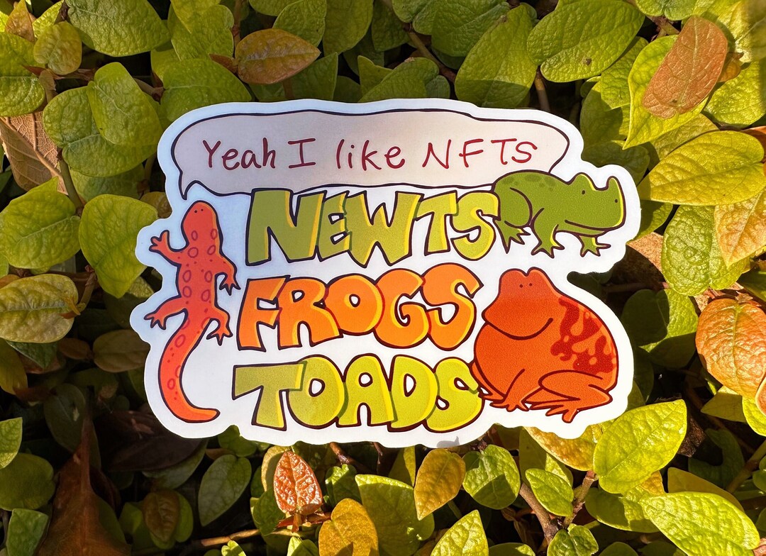 Newts Frogs Toads Sticker 4 Inch Funny Joke Meme Stationery - Etsy