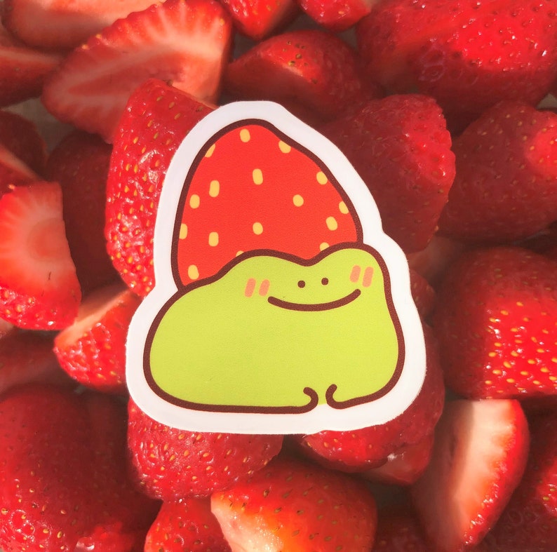 Frog Stickers Cute Cottagecore Animal Stationery - Etsy