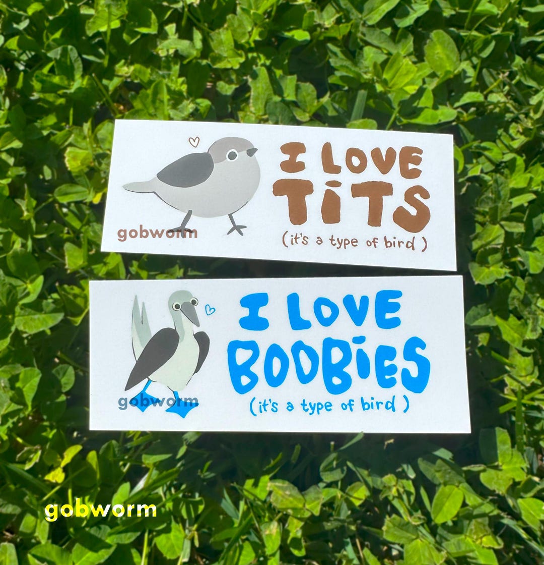 I Love Boobies Tits Stickers | Silly Bird Pun Bumper Sticker Waterproof ...