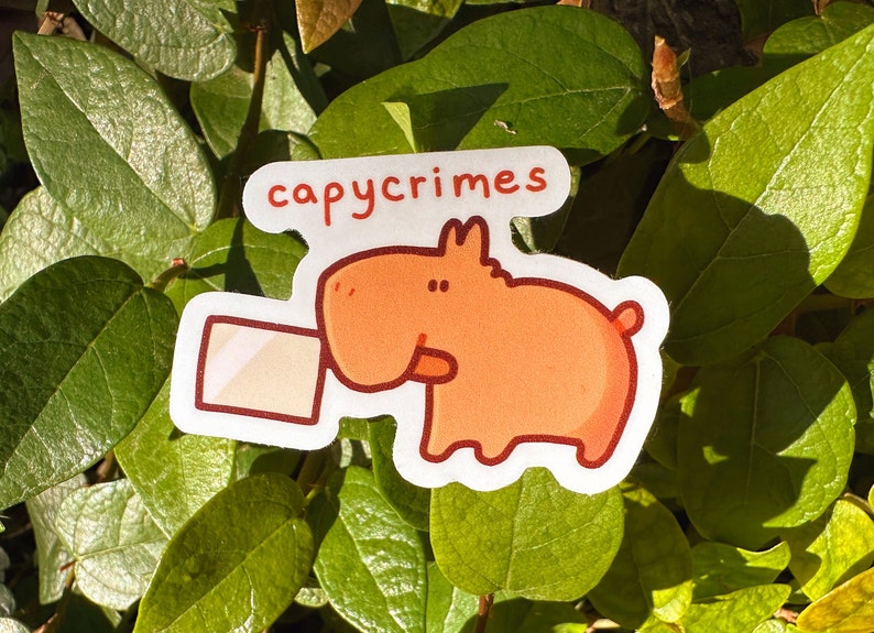 Capybara Sticker Set Funny Meme Stationery - Etsy UK