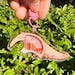 Anteater Shaker Charm | Silly Animal Biology Eating Ants 3D Double ...