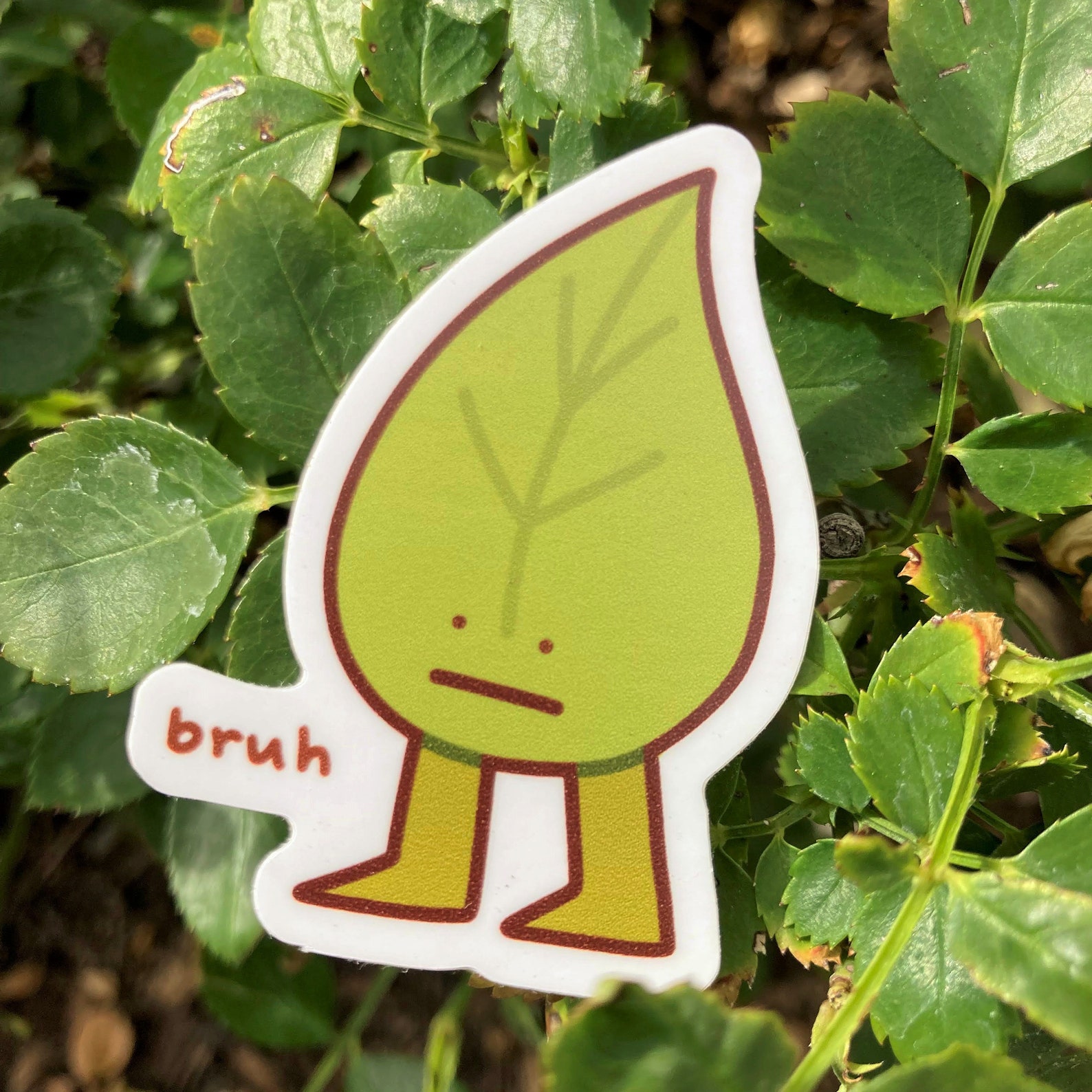 Forest Pun Stickers Funny Meme Acorn Tree Leaf Stationery - Etsy