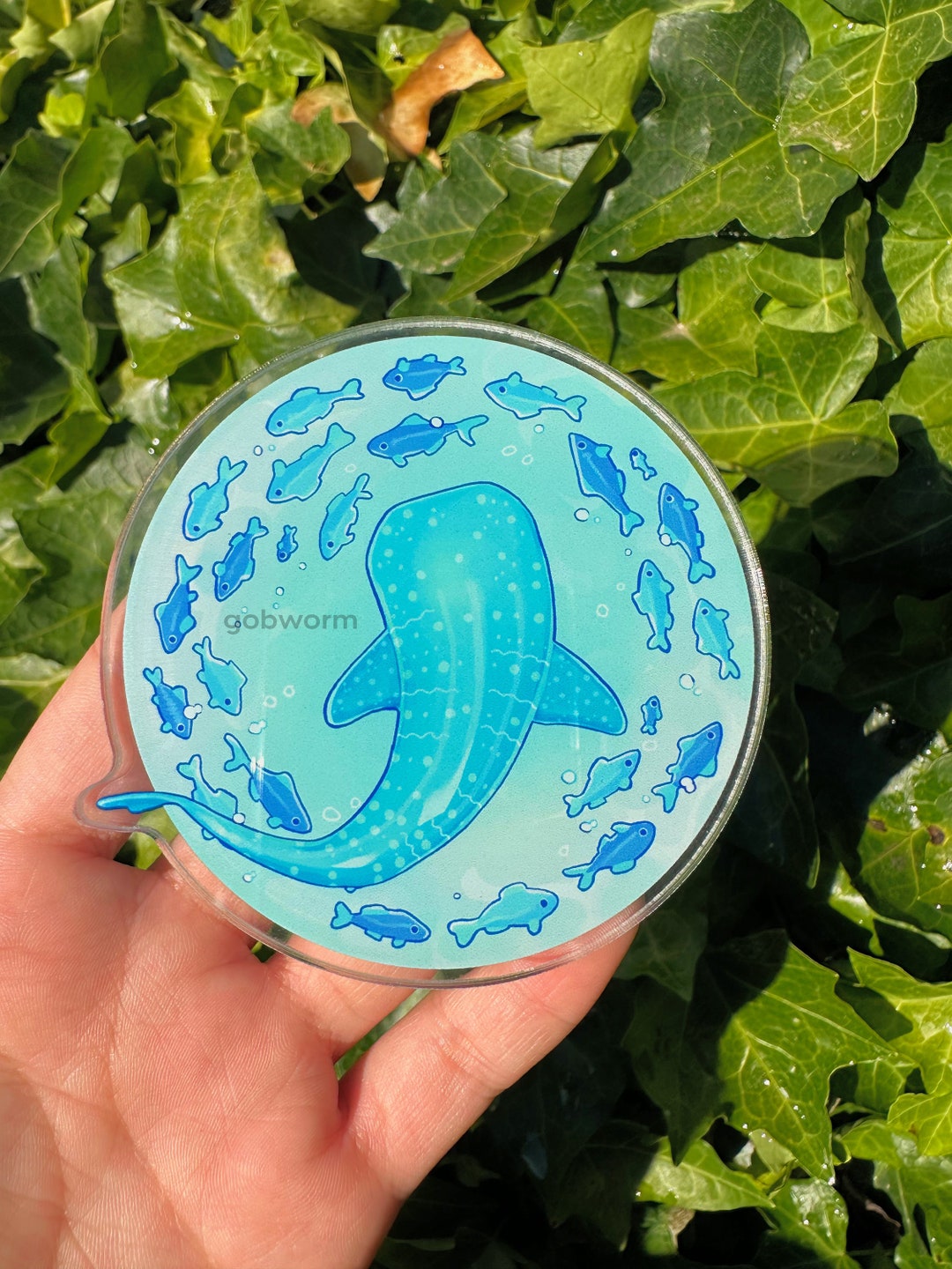 Whale Shark Coaster Beautiful Marine Biology Double Sided Fish Acrylic ...