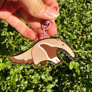 Anteater Shaker Charm Silly Animal Biology Eating Ants 3D Double Sided ...