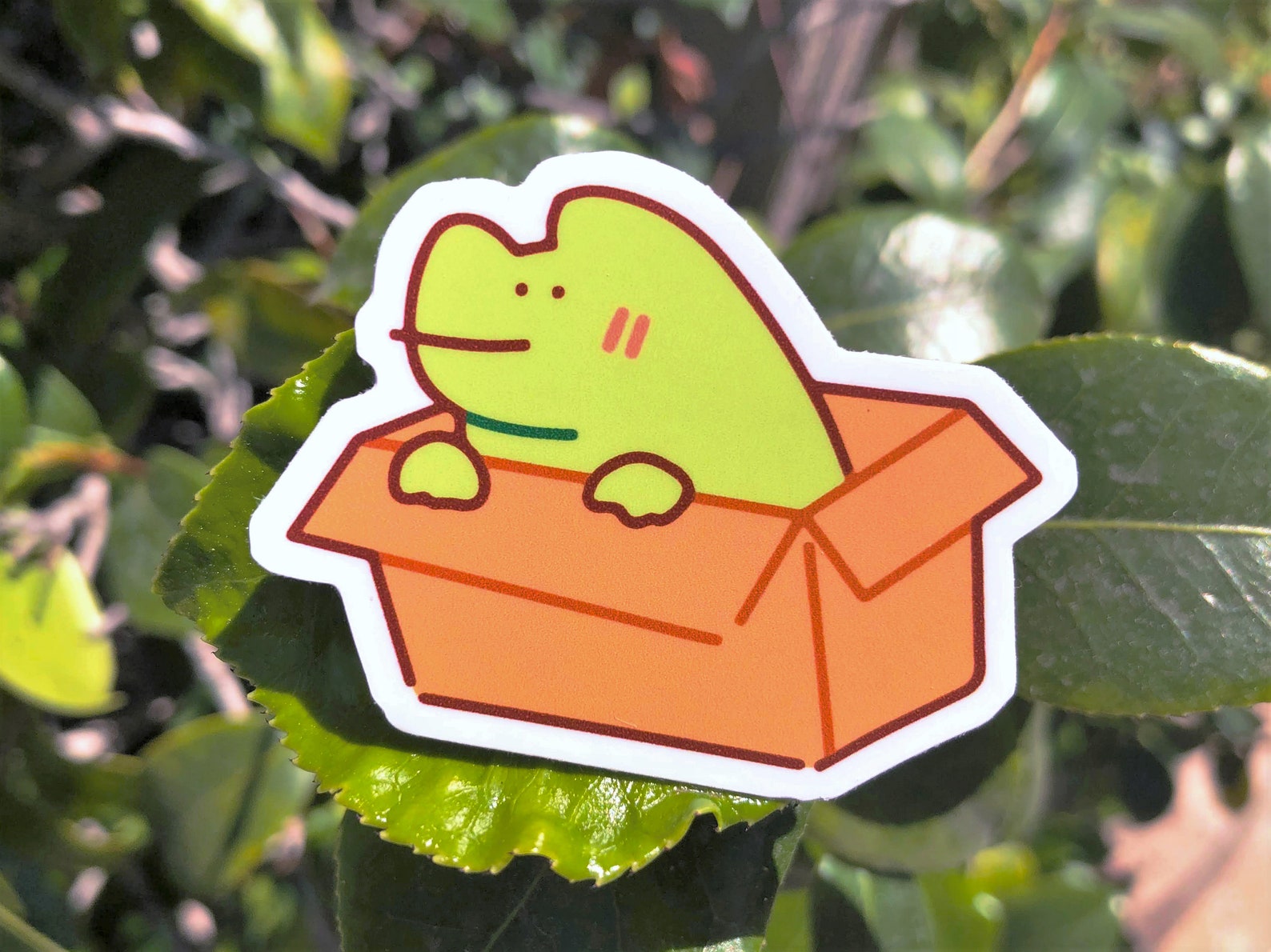 Frog Stickers Cute Cottagecore Animal Stationery - Etsy