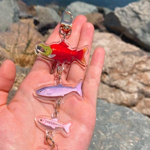 Salmon Life Cycle Keychain | Connection Sockeye Fish Biology Art - Etsy