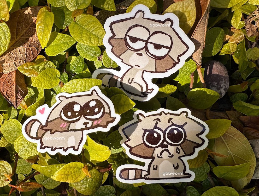 Raccoon Sticker Set | Funny Meme Waterproof Decal Stationery - Etsy