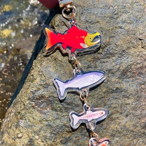 Salmon Life Cycle Keychain | Connection Sockeye Fish Biology Art - Etsy