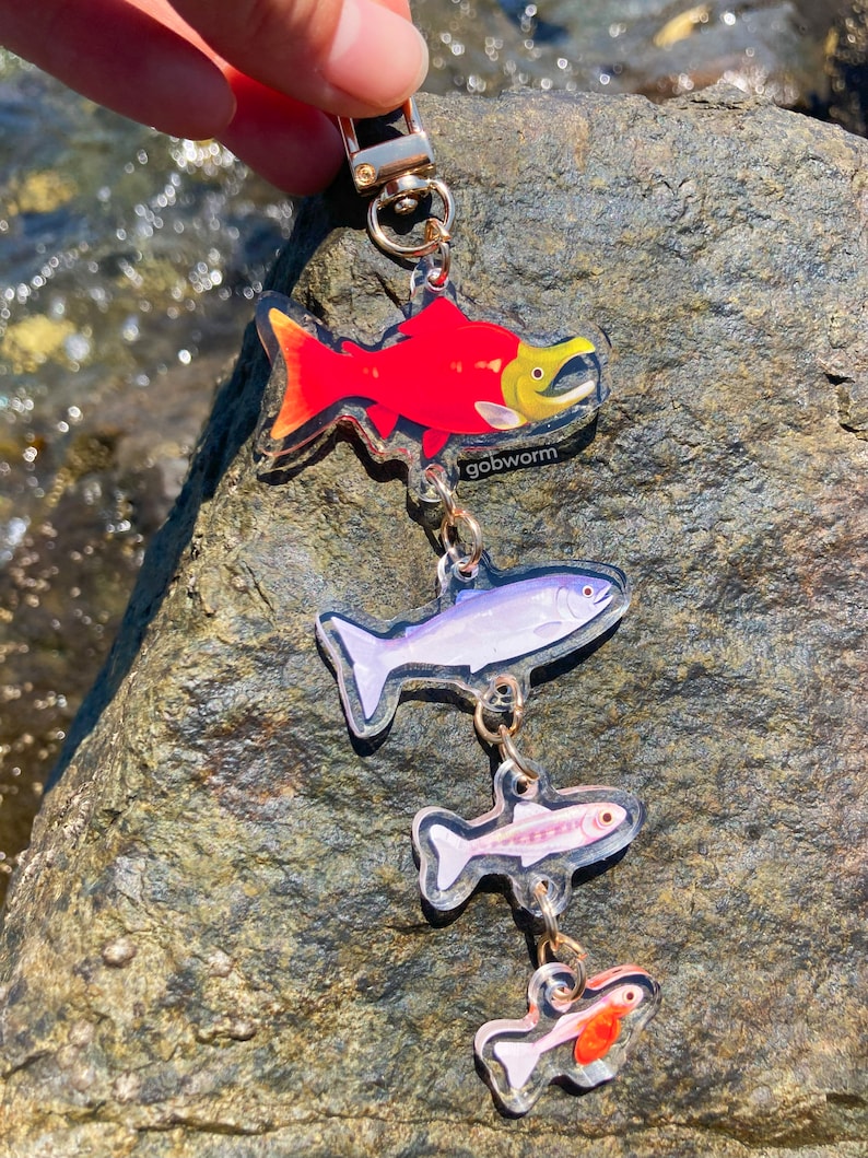 Salmon Life Cycle Keychain | Connection Sockeye Fish Biology Art - Etsy