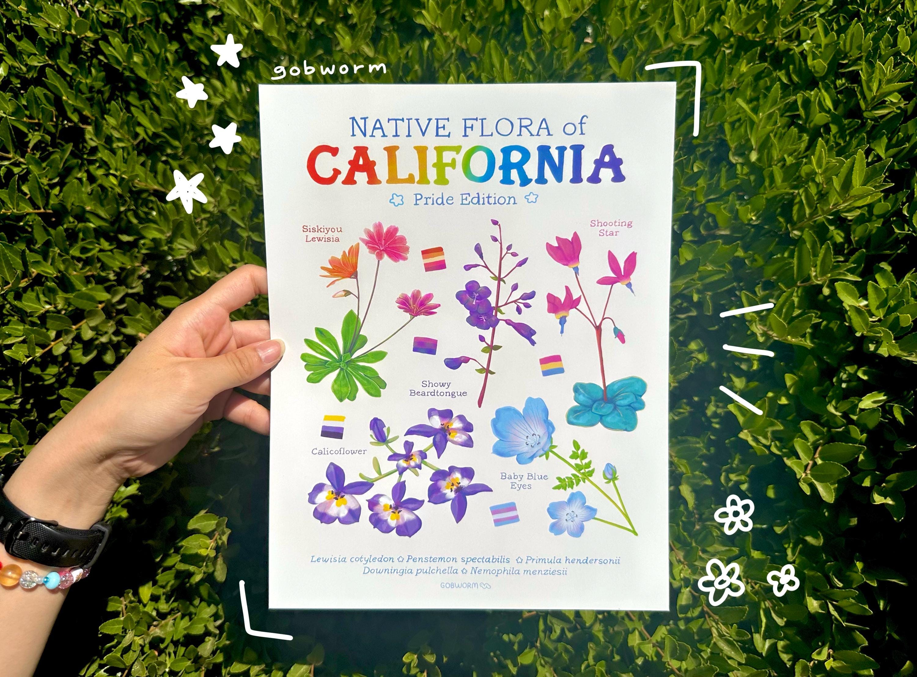 Pride Flora Art Print | California Native Botanical Illustration - Etsy