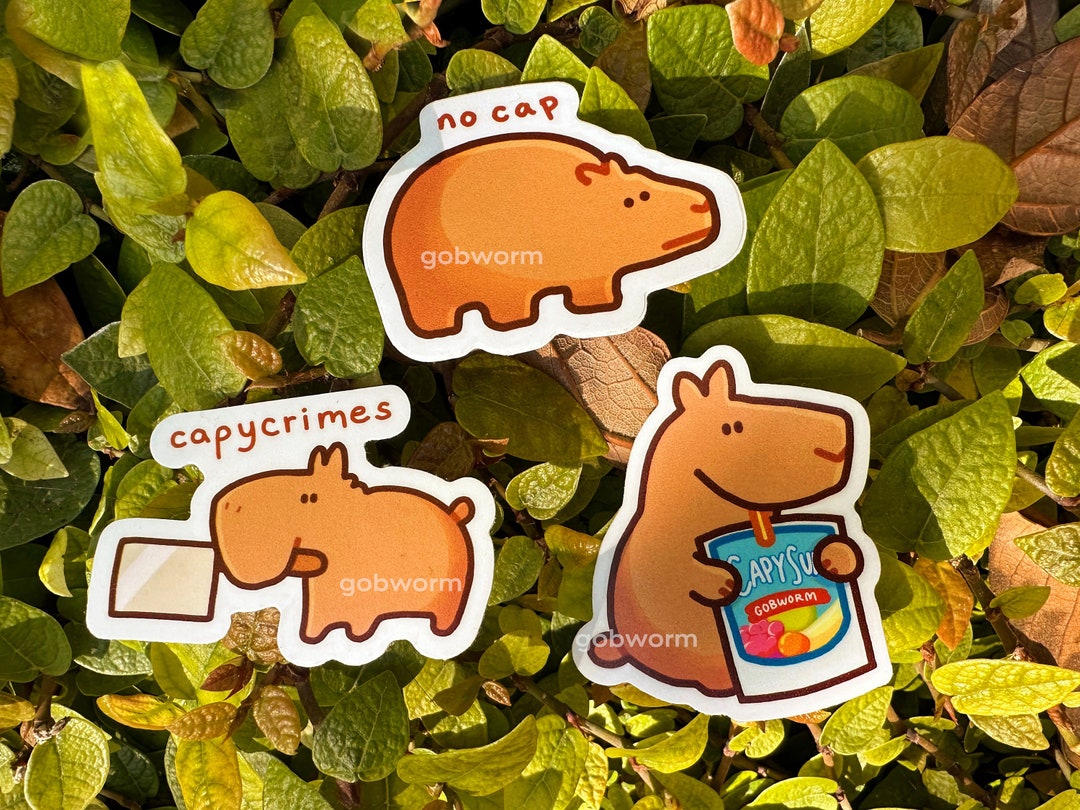 Capybara Sticker Set | Funny Meme Waterproof Stationery - Etsy
