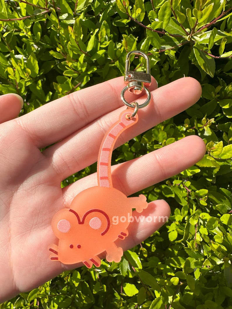 Opossum Mouse Shrew Acrylic Keychain | Cute Rodent Frosted Charm ...