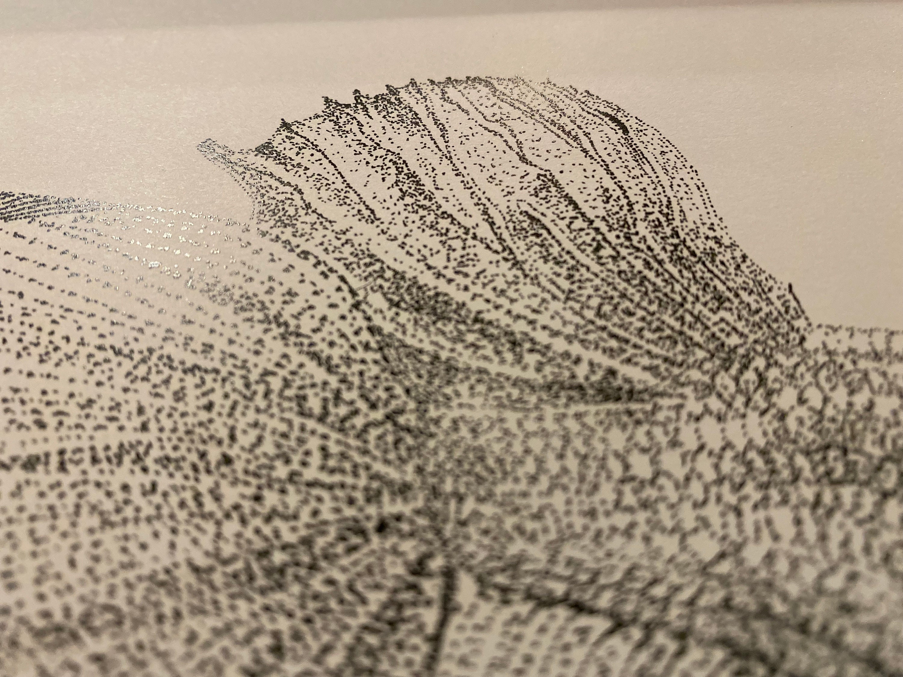 Betta Fish, Wall Art, Fish Drawing, Stipple Art, Dot Art, Ink, Black ...