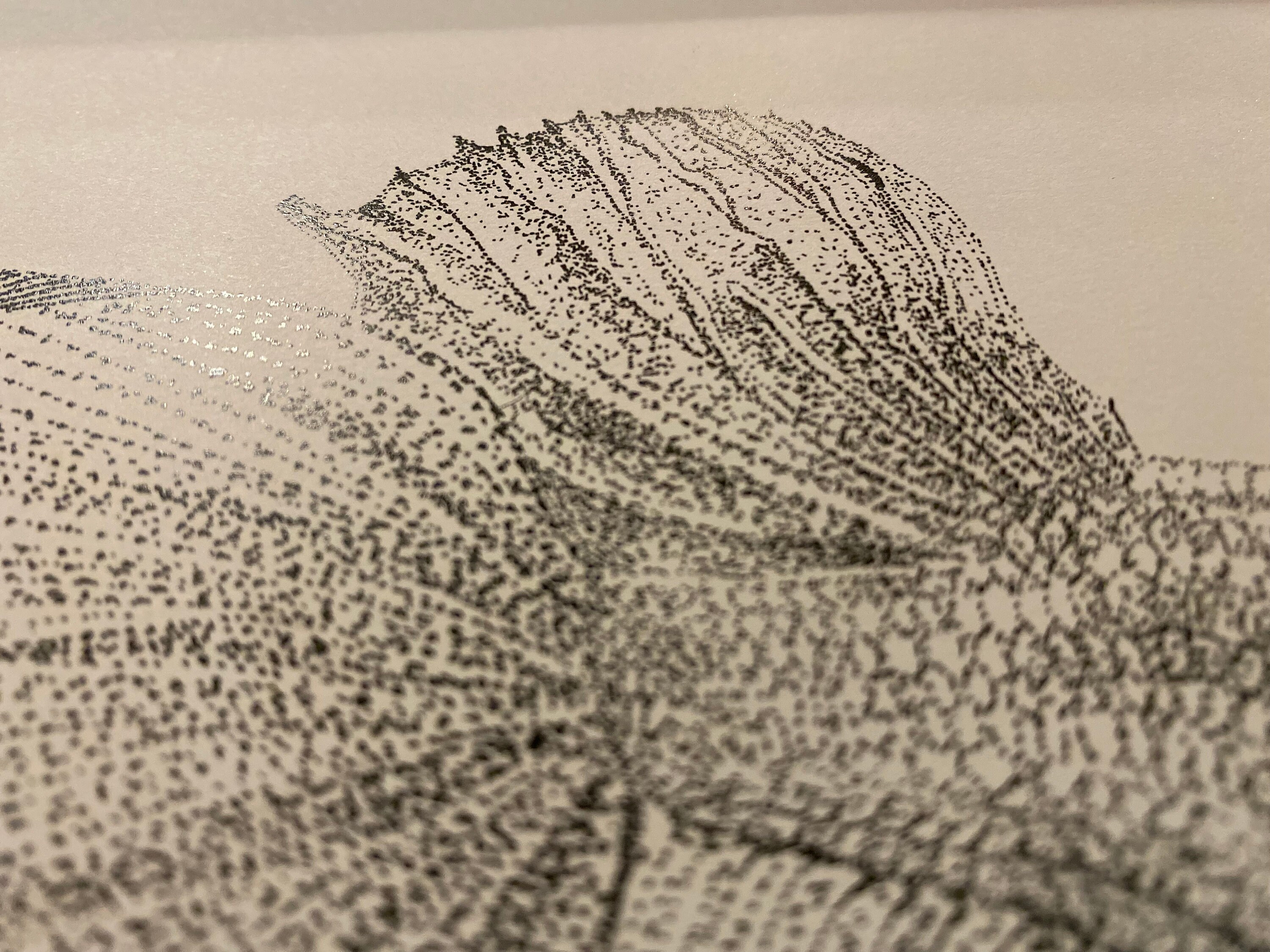 Betta Fish Stipple Art Print, Dot Art, Fish Drawing, Ink on Paper ...