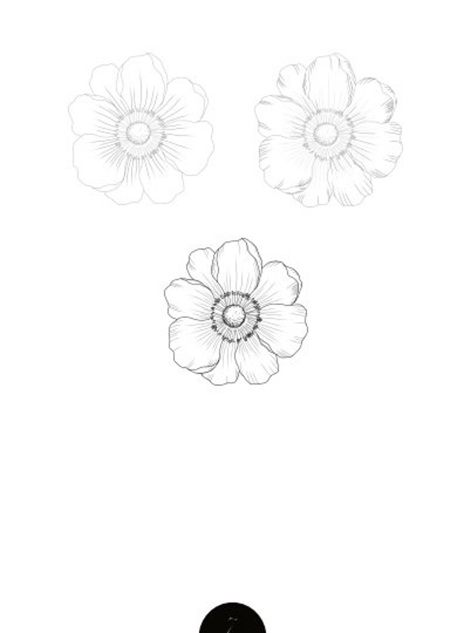 How to Draw Flowers Guidebook - Etsy